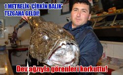 1 metrelik çirkin balık tezgahta