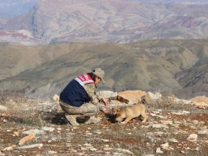 Siirt’te Jandarma Hayvan Koruma Timi Göreve Başladı