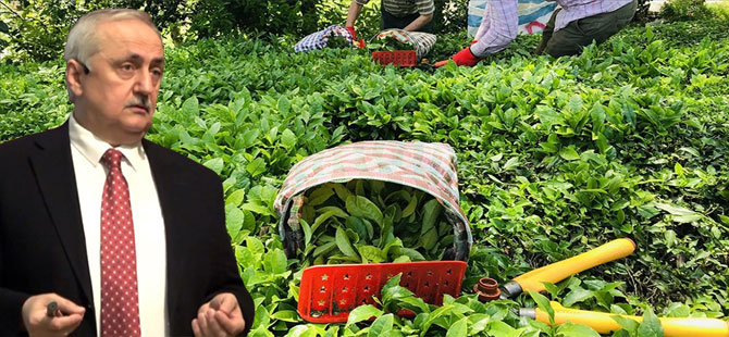 Prof. Dr. Demir: “Bundan 30 Yıl Sonra Karadeniz’de Fındık ve Çay Yerine ...