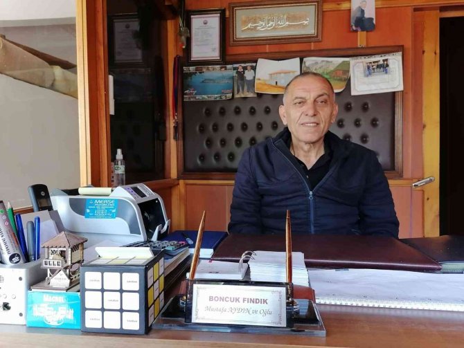 Fındık Fiyatı Haftayı 24,50 Tl’den Kapatıyor