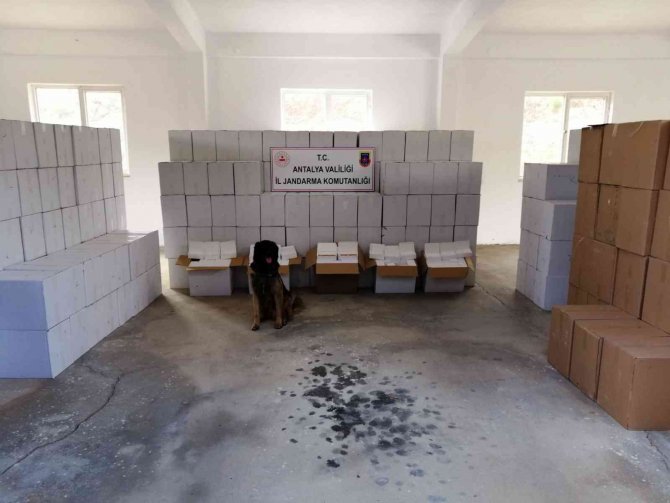 Kamyon Kasasında 500 Bin Liralık Makaron Çıktı Kamyon Kasasında 500 Bin Liralık Makaron Çıktı