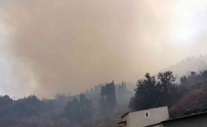 Sisam Adası’nda Büyük Orman Yangını