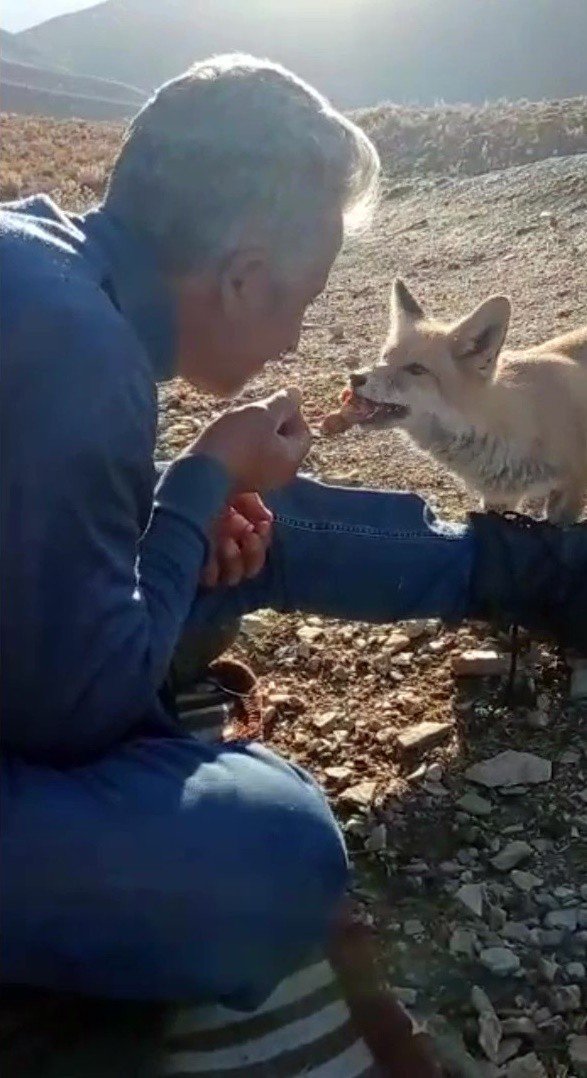 Tilkiyi Elleriyle Besleyip Su Verdi