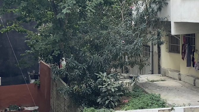 İ̇stanbul’da 14 Yaşındaki Genç Kızın Sır Ölümü: 11. Kattan Aşağıya Düştü