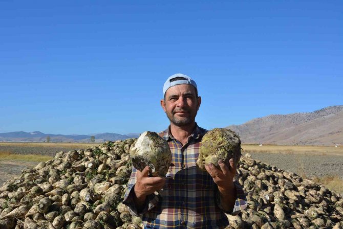 Korkuteli’nde Şeker Pancarında Yüksek Rekolte Yüzleri Güldürdü