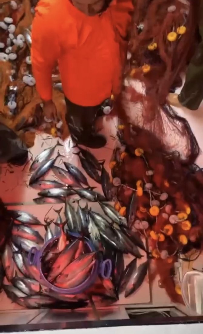 Çanakkale Boğazı’nda Ağlarına Tek Seferde Yaklaşık 2 Bin Palamut Takıldı