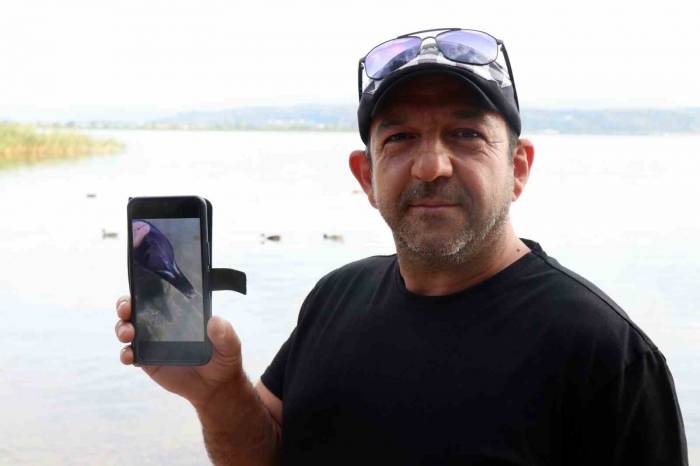 Yunus Balığına Fısıldayan Adam